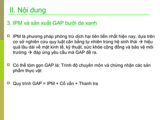 Ipm_va_gap_cay_buoi | PPT