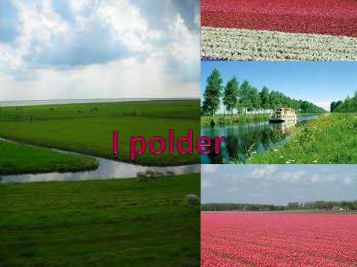 I polder