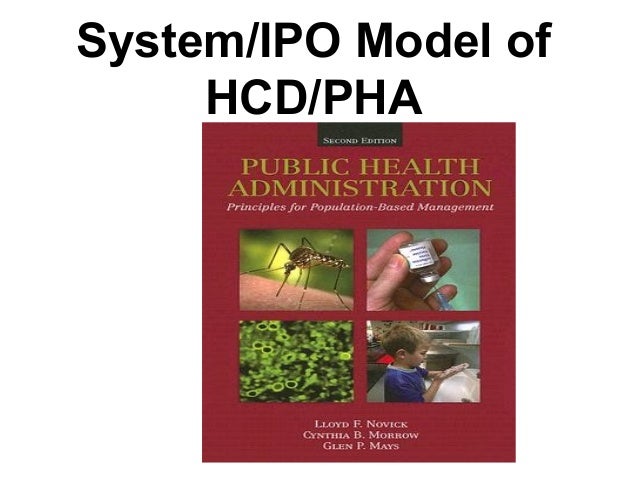 IPO Model/system model