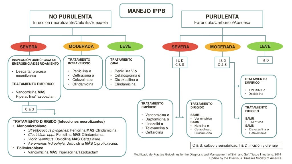 Infecciones de la piel y partes blandas 2016