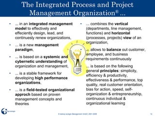 IPPM - The Integrated Process and Project Management Organization | PDF