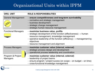 IPPM - The Integrated Process and Project Management Organization | PDF