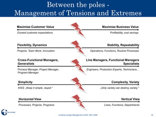 IPPM - The Integrated Process and Project Management Organization | PDF
