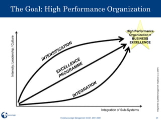 IPPM - The Integrated Process and Project Management Organization | PDF