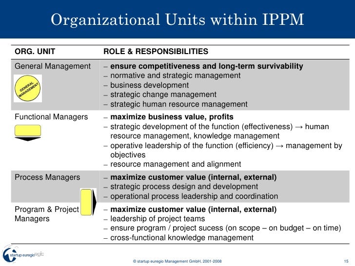 IPPM - The Integrated Process and Project Management Organization