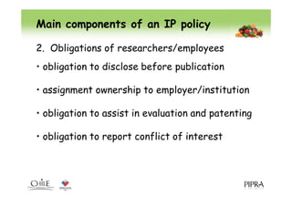 IP Policy | PDF