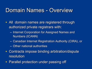 IP Litigation Overview Presentation | PPT