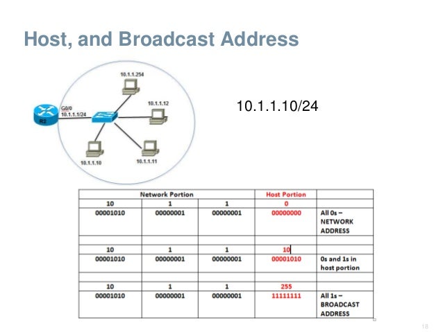 Ip protocals subnetworking