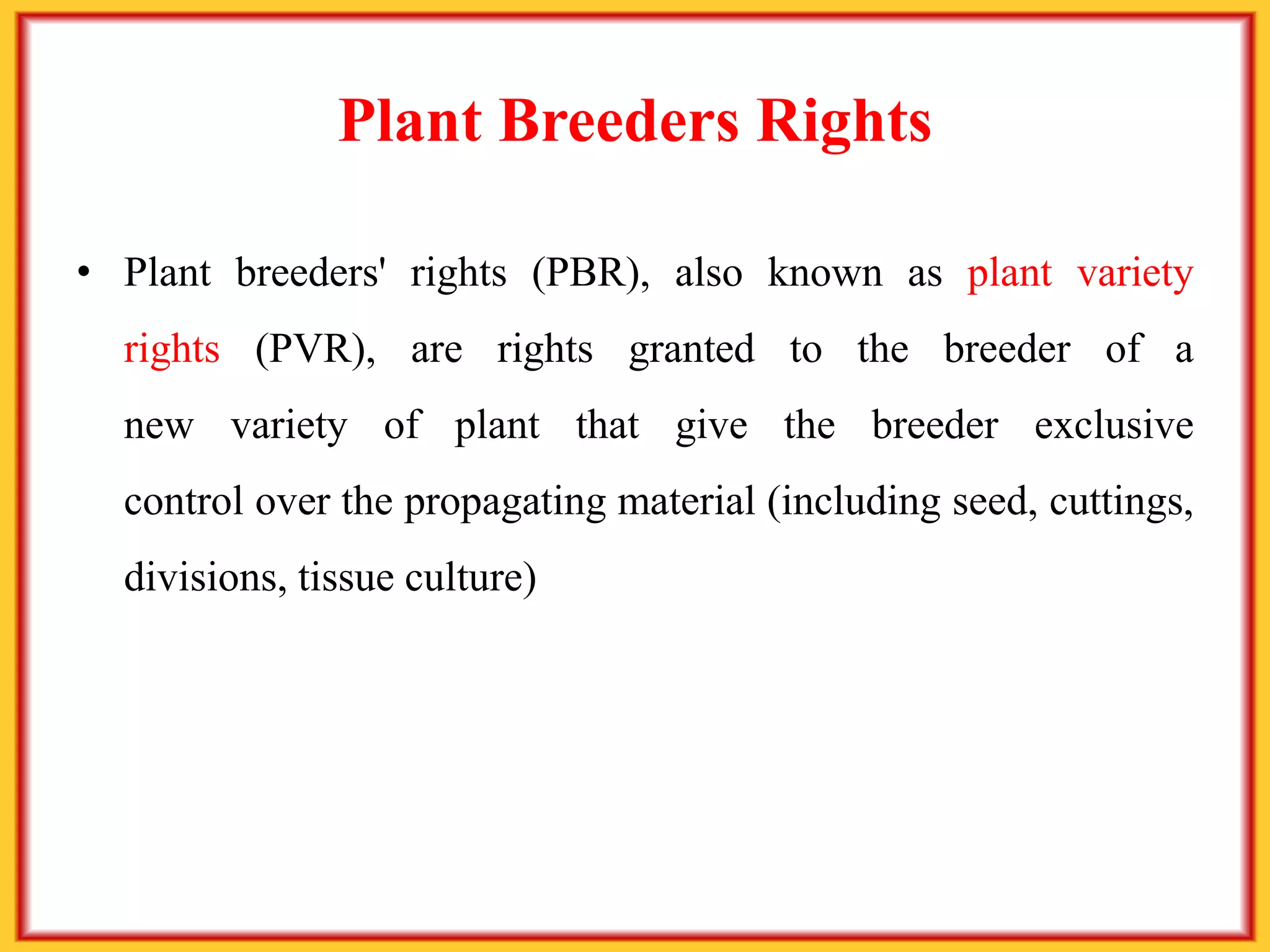 Intellectual Property rights | PPTX