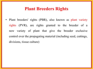 Intellectual Property rights | PPTX