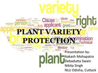 Plant variety and Protection | PPTX