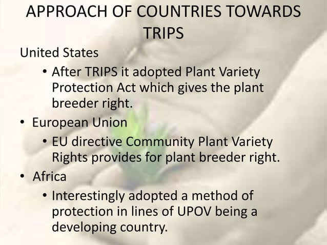 Plant variety and Protection | PPTX | Agriculture | Industries