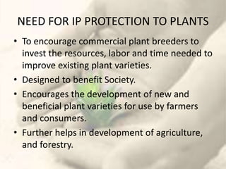 Plant variety and Protection | PPTX