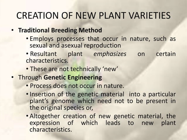Plant variety and Protection | PPTX | Agriculture | Industries