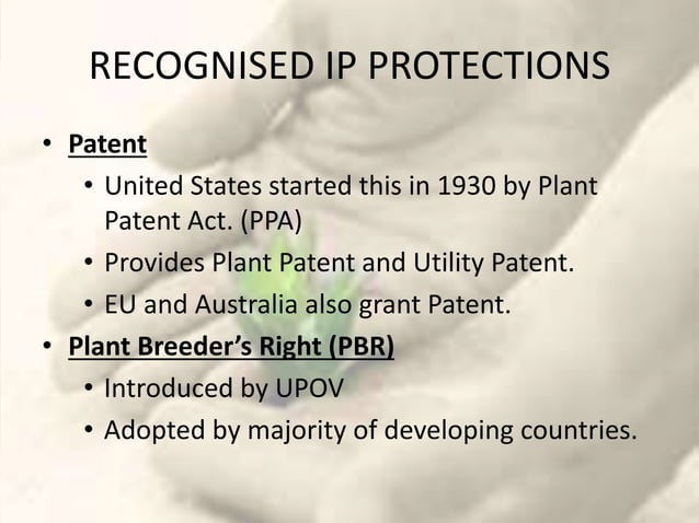 Plant variety and Protection | PPTX | Agriculture | Industries