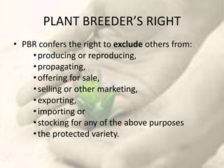 Plant variety and Protection | PPTX