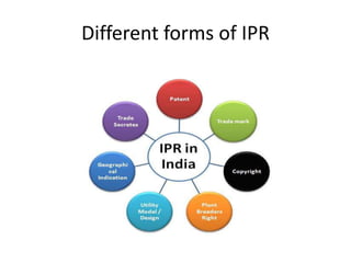 Intellectual Property Rights | PPTX