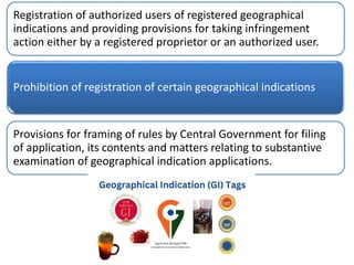 Salient features of Geographical Indications of Goods (Registration and ...