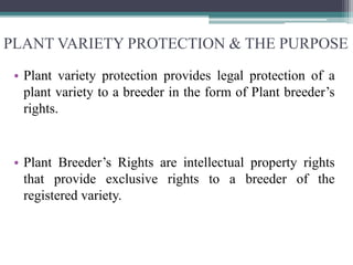 plant variety protection and farmer act | PPTX