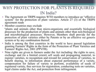 plant variety protection and farmer act | PPTX