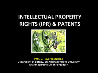 IPR AND PATENTS | PPT