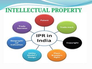 IPR-PPT -PATENT APPLICATION.ppt downloadx | PPT