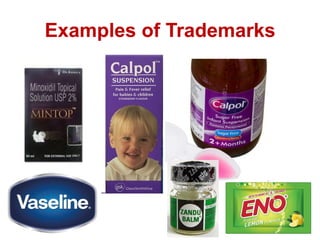 IPR - Types with Examples.pdf