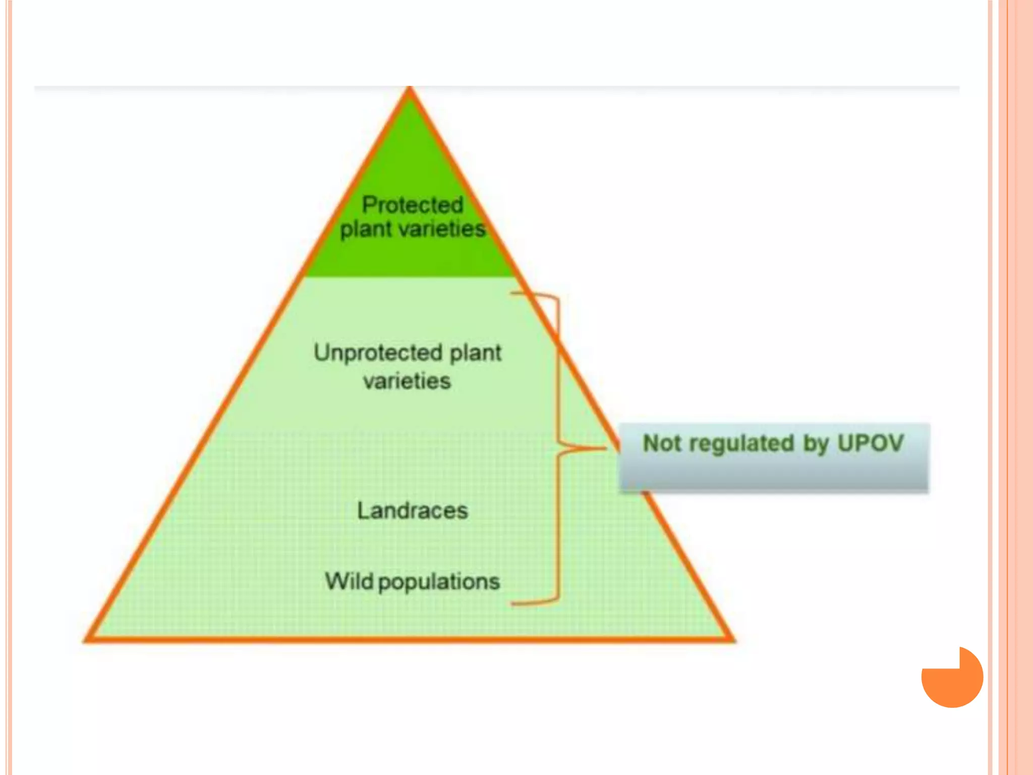 UPOV The International Union for the Protection of New Varieties of ...