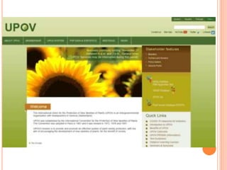 UPOV The International Union for the Protection of New Varieties of ...