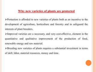 UPOV The International Union for the Protection of New Varieties of ...