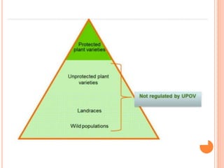 UPOV The International Union for the Protection of New Varieties of ...