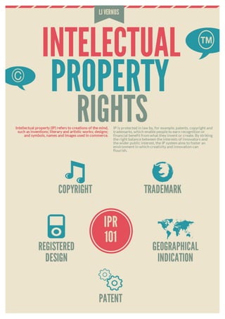 Intellectual Property Rights 101 | PDF