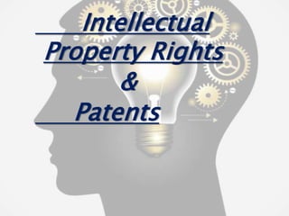 INTELLECTUAL PROPERTY RIGHTS | PPTX