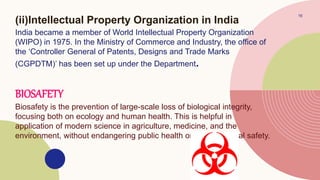 IPR-INTELLECTUAL PROPERTY RIGHTSby rashmi.pptx