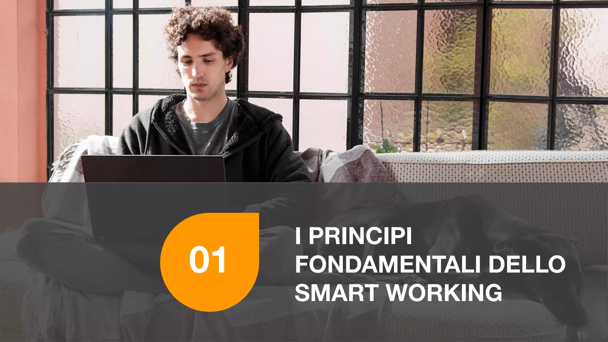 I principi fondamentali dello Smart Working | PDF