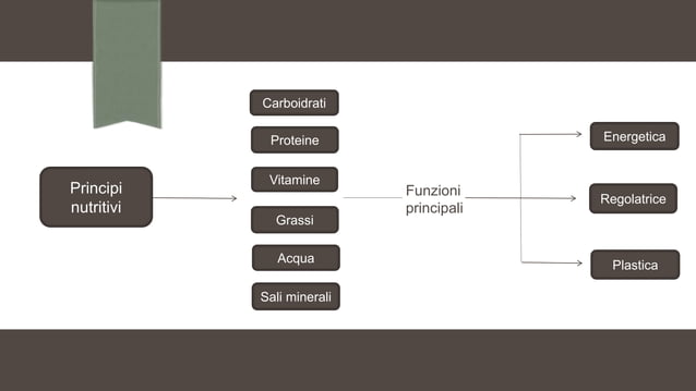 I principi nutritivi.pptx