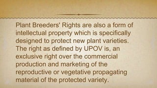 IPR in breeding | PPTX