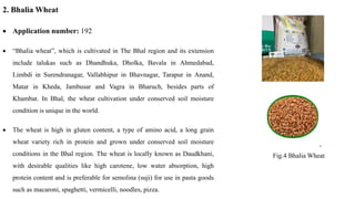 Patents and GIs of Gujarat related to Horticulture | PPT