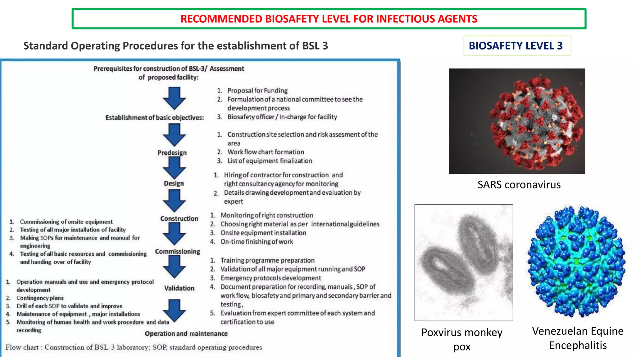 Recommended Biosafety level for Infectious Agents and Infected Animals ...