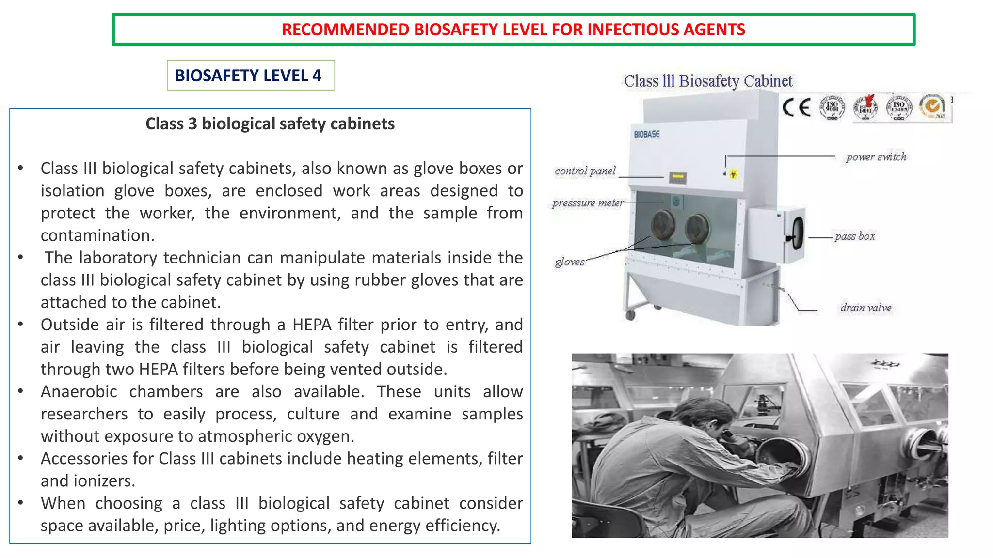 Recommended Biosafety level for Infectious Agents and Infected Animals ...
