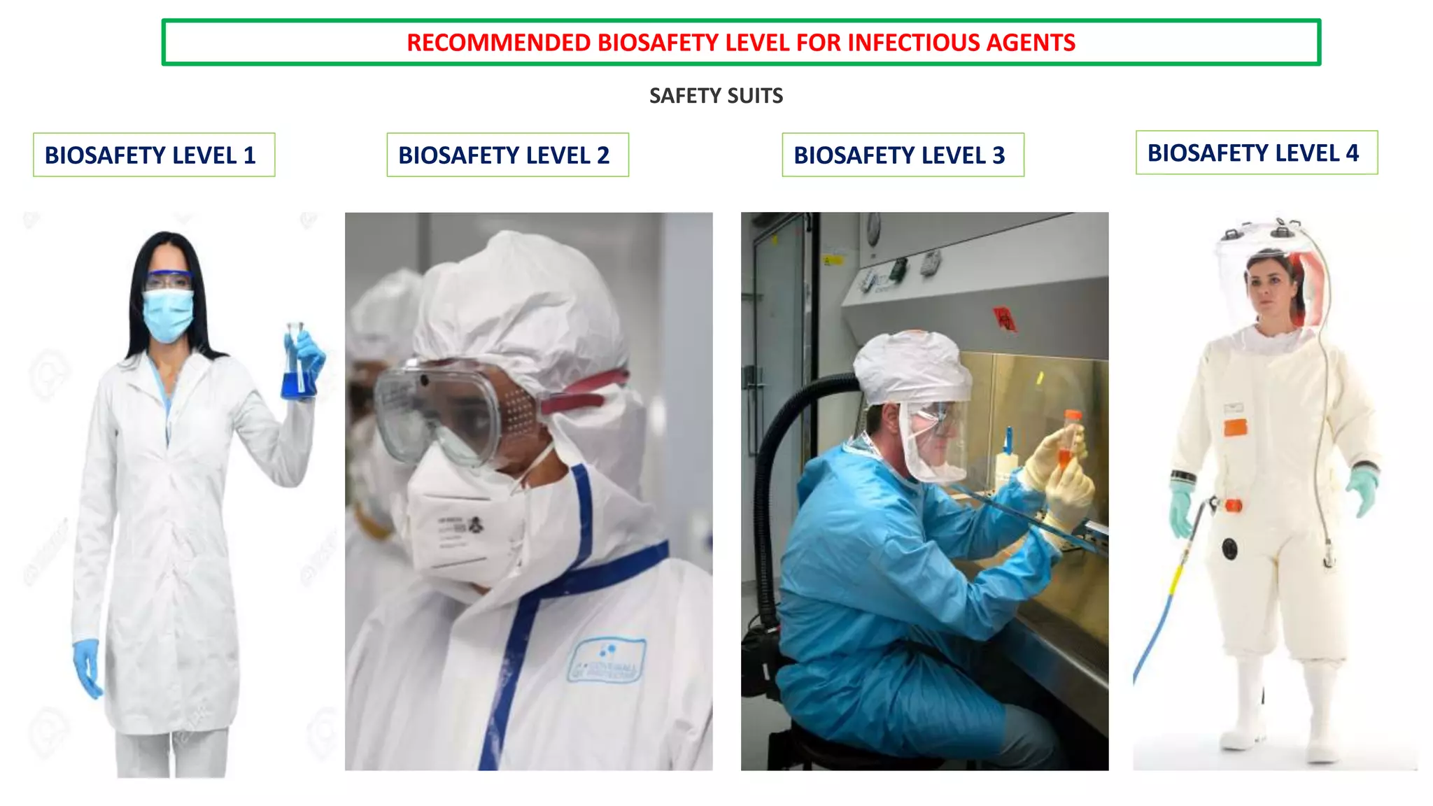 Recommended Biosafety level for Infectious Agents and Infected Animals ...
