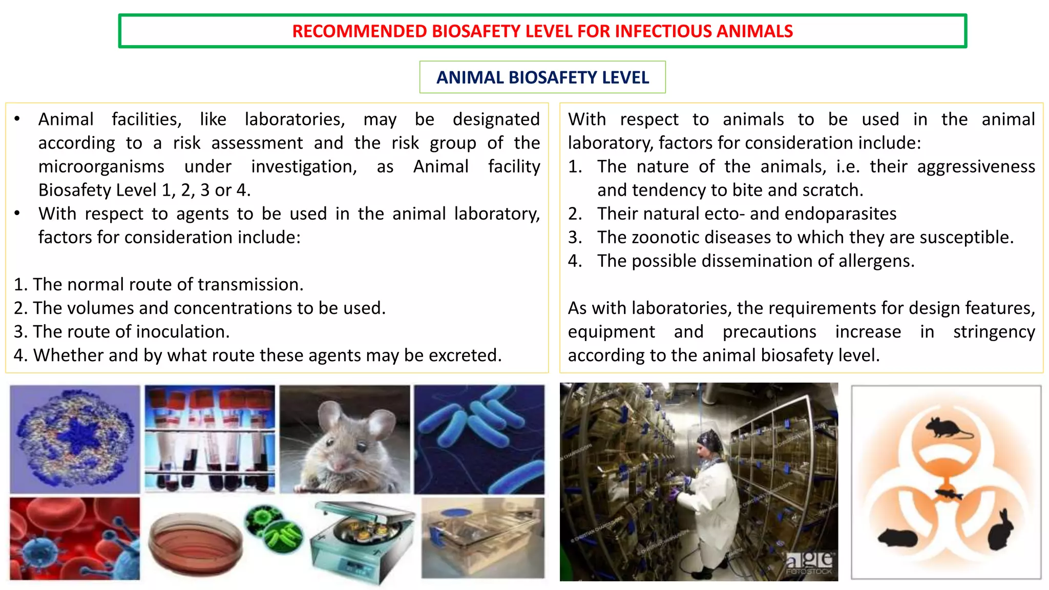 Recommended Biosafety level for Infectious Agents and Infected Animals ...