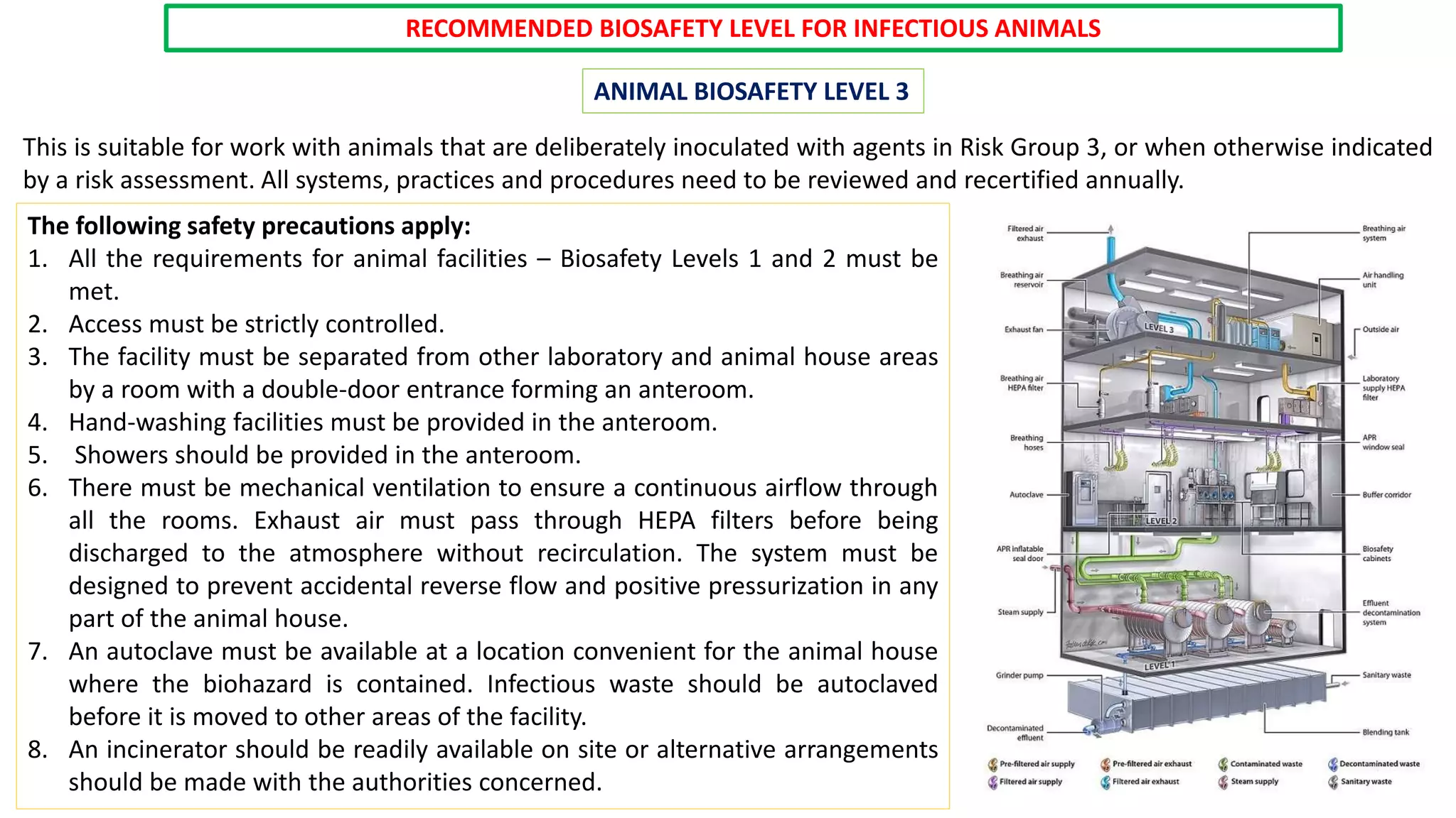 Recommended Biosafety level for Infectious Agents and Infected Animals ...