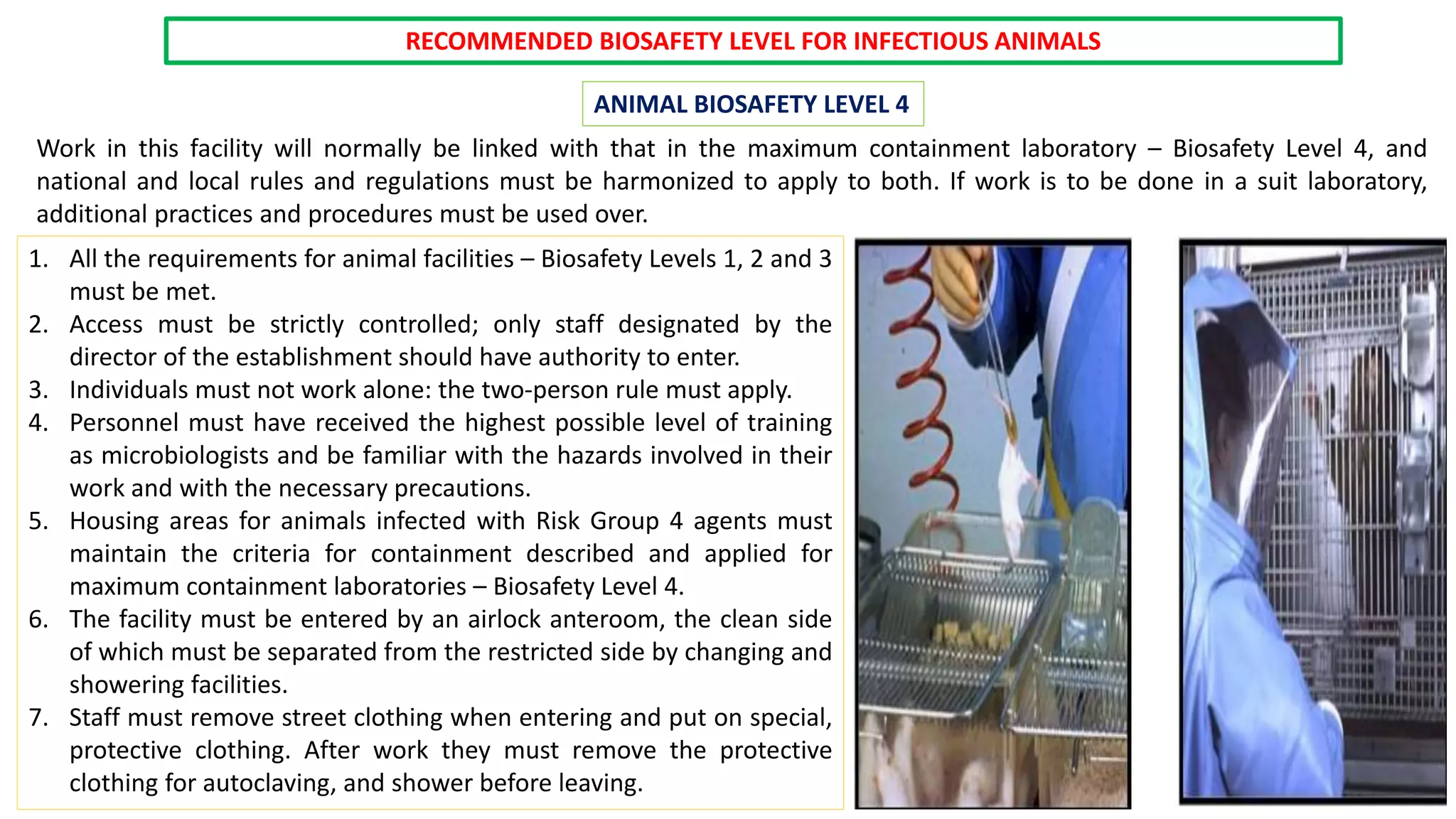 Recommended Biosafety level for Infectious Agents and Infected Animals ...