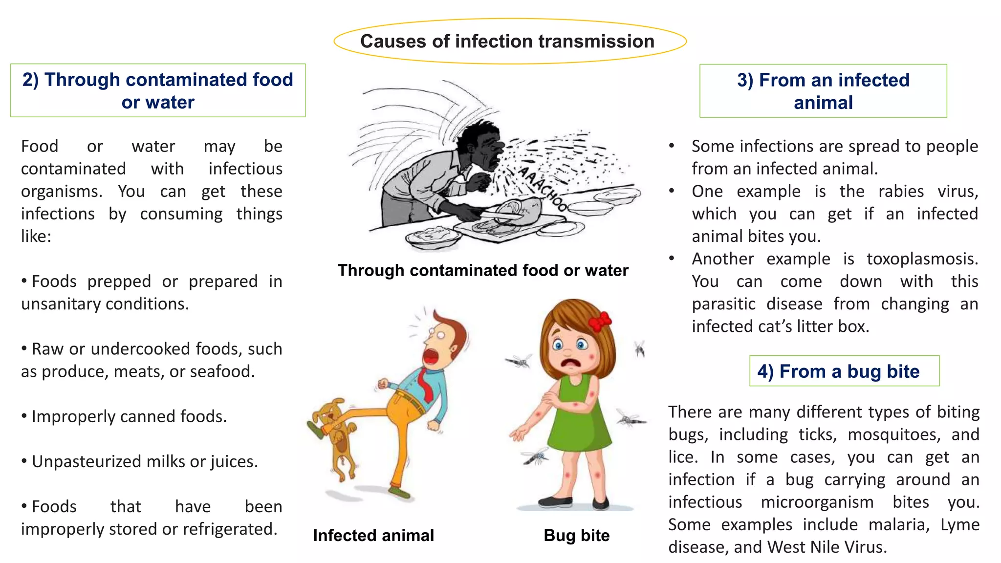 Recommended Biosafety level for Infectious Agents and Infected Animals ...