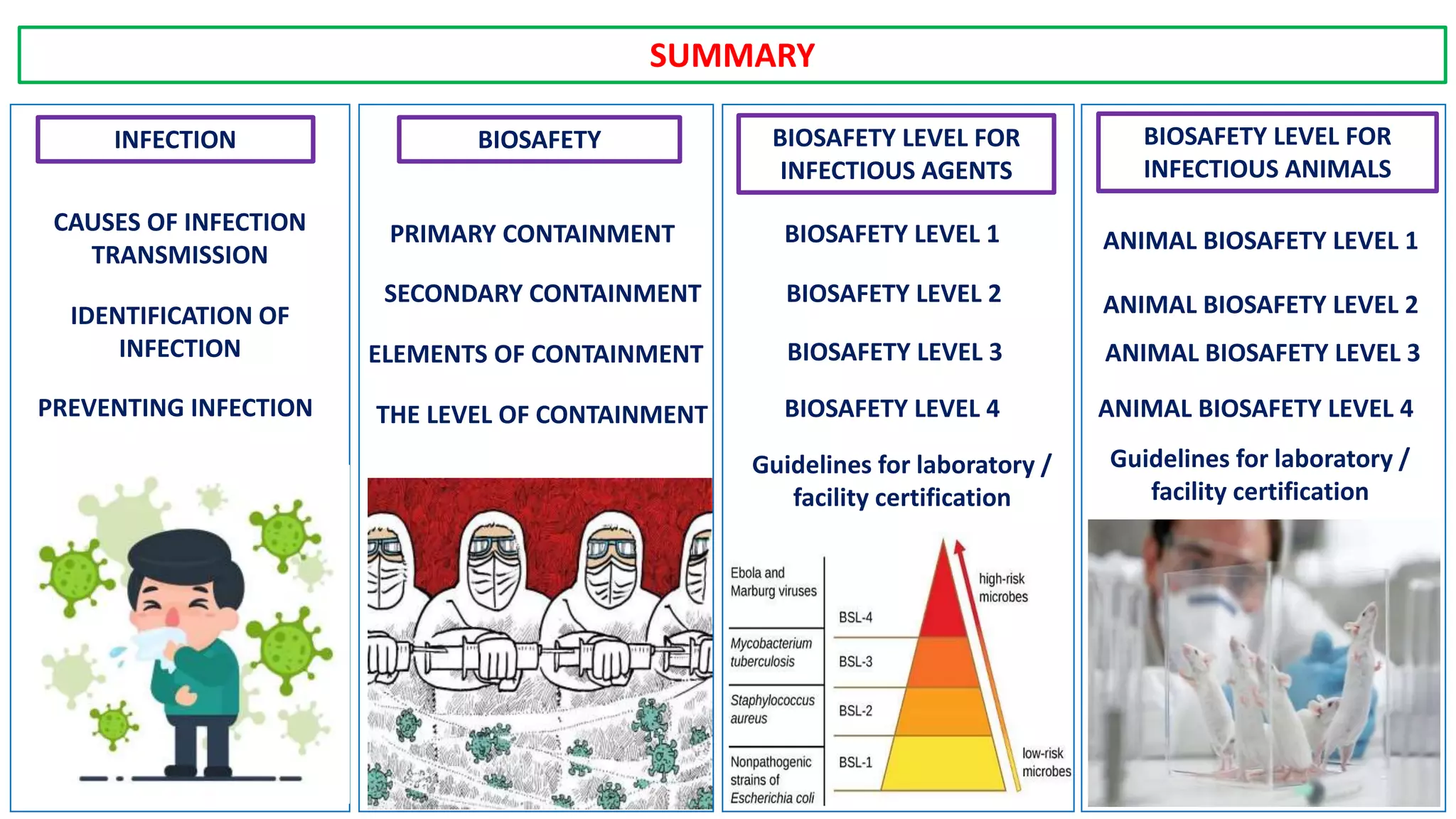 Recommended Biosafety level for Infectious Agents and Infected Animals ...