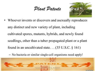 IPR protection of plants | PDF
