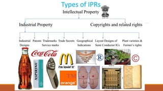 IPR Seminar.pdf