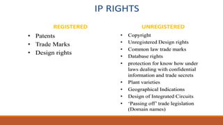IPR Seminar.pdf
