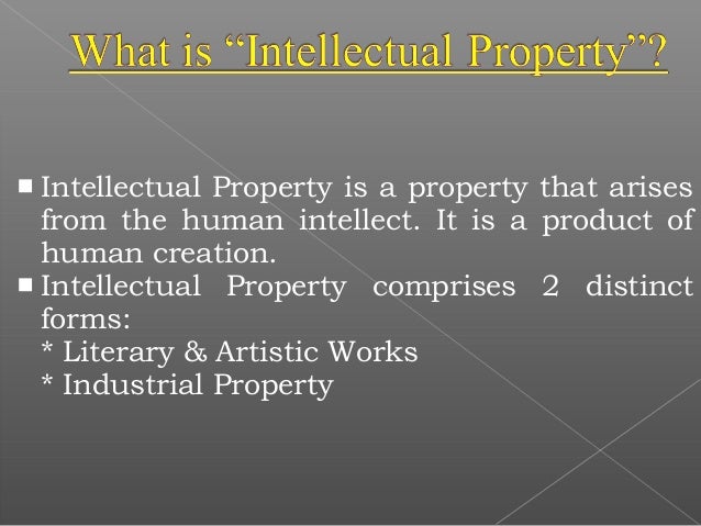 The Definition Of Intellectual Property Rights